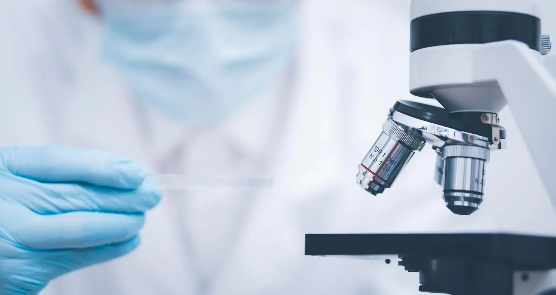 HR Starter Package - SetHub Consultants